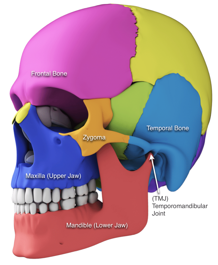 Complex Jaw Revision Surgery and Total Temporomandibular Joint (TMJ ...